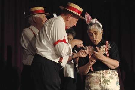 2013 revue – Blackheath Rhododendron Festival